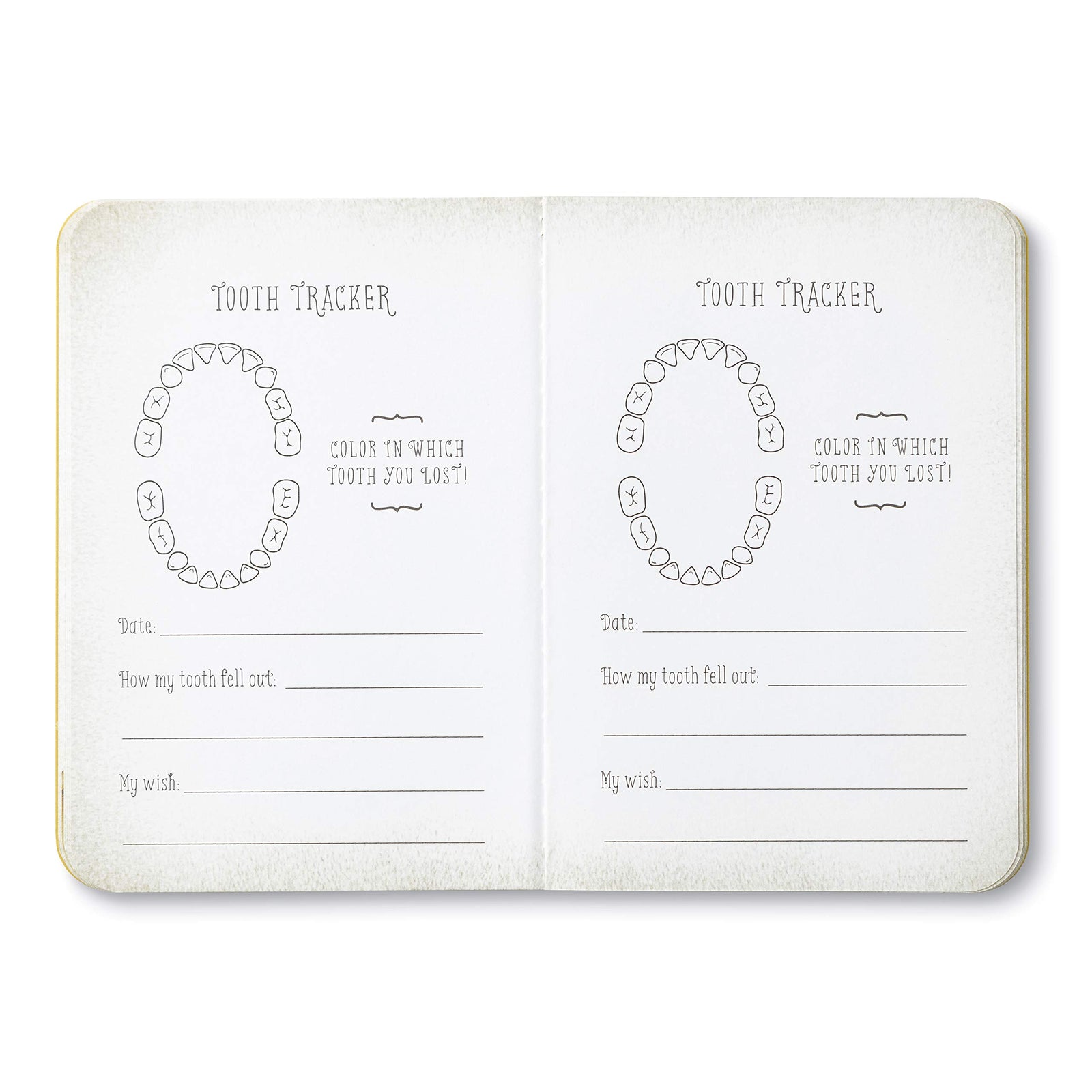 The Tooth Fairy Kit – littlewhimsy