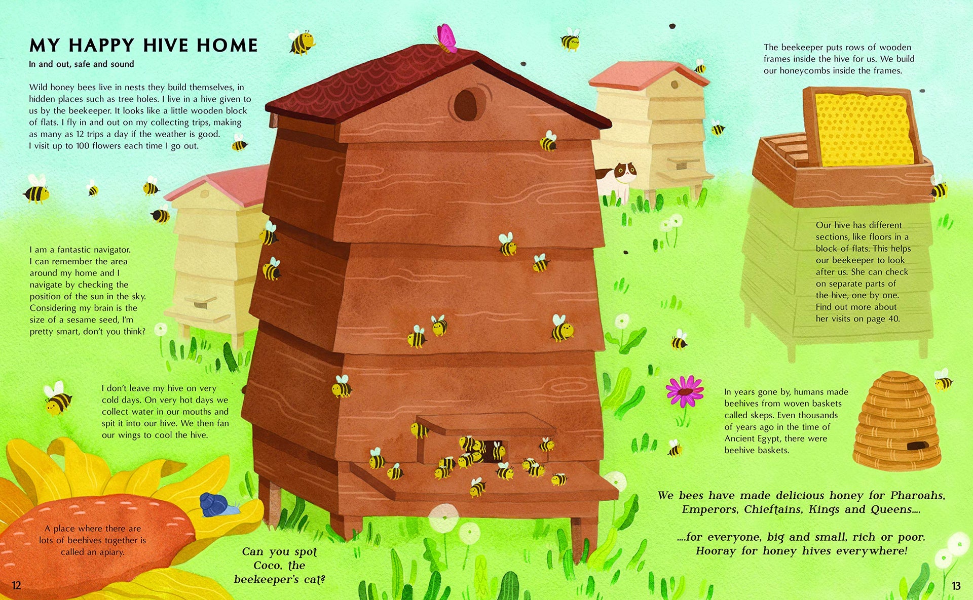 The Secret Life of Bees – littlewhimsy