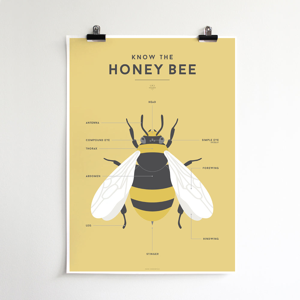 Squared Charts - Honey Bee – littlewhimsy