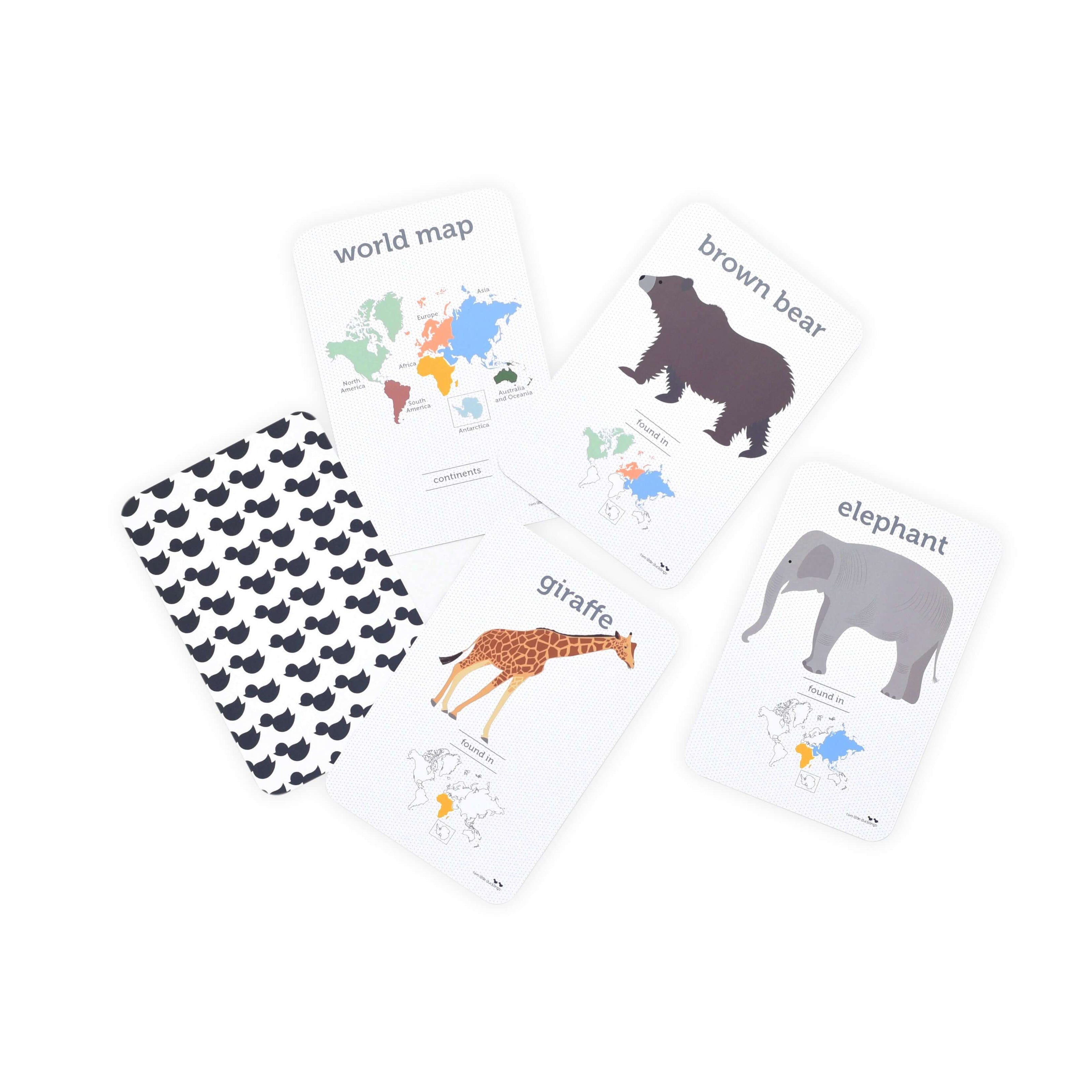Flash Cards - World Animals – littlewhimsy