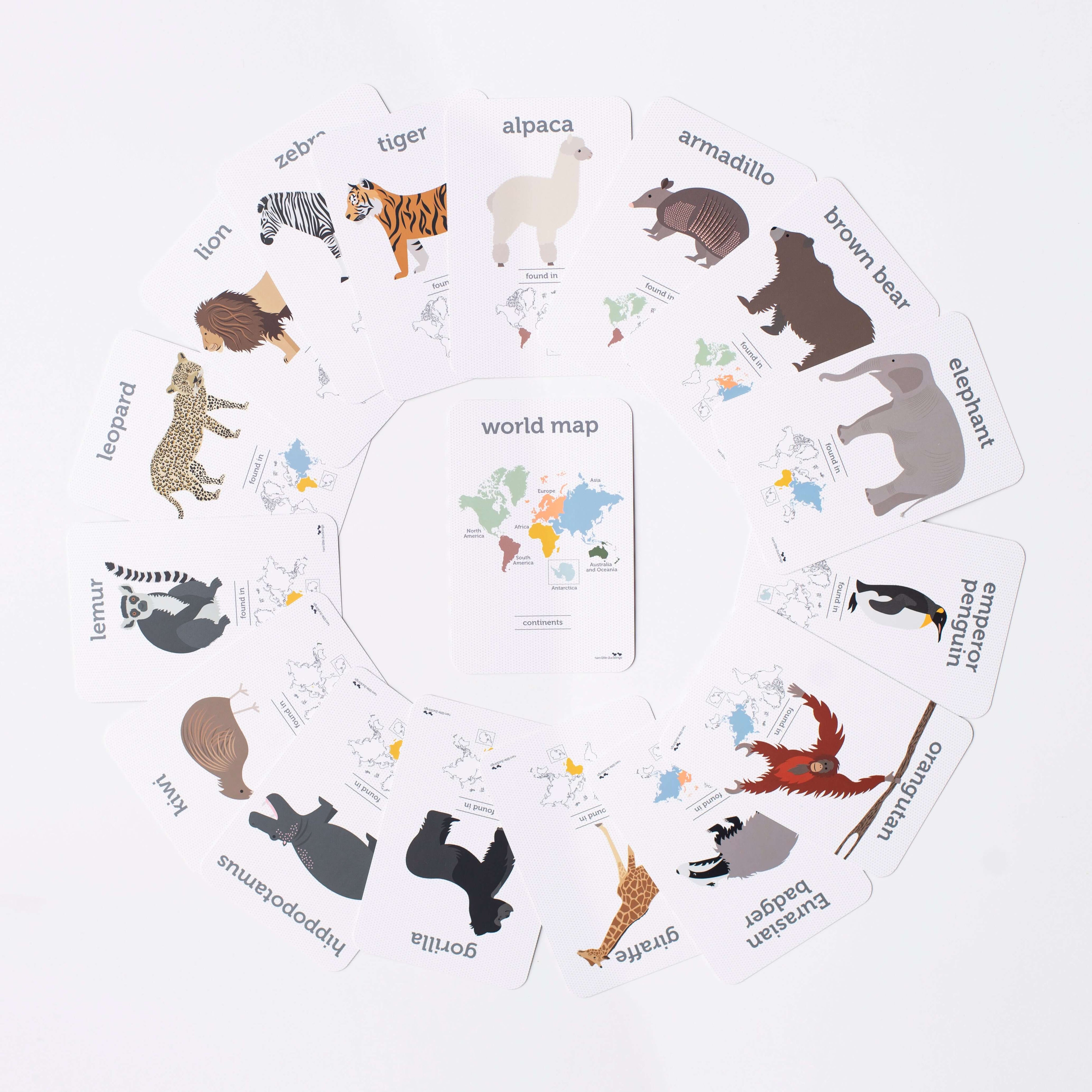 Flash Cards - World Animals – littlewhimsy