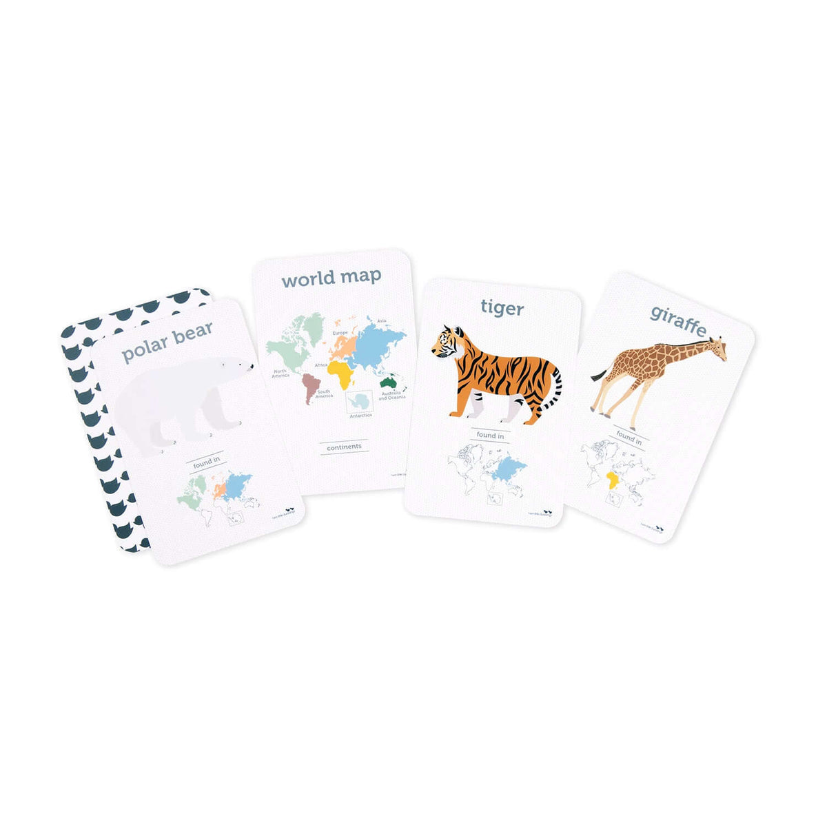 Flash Cards - World Animals – littlewhimsy