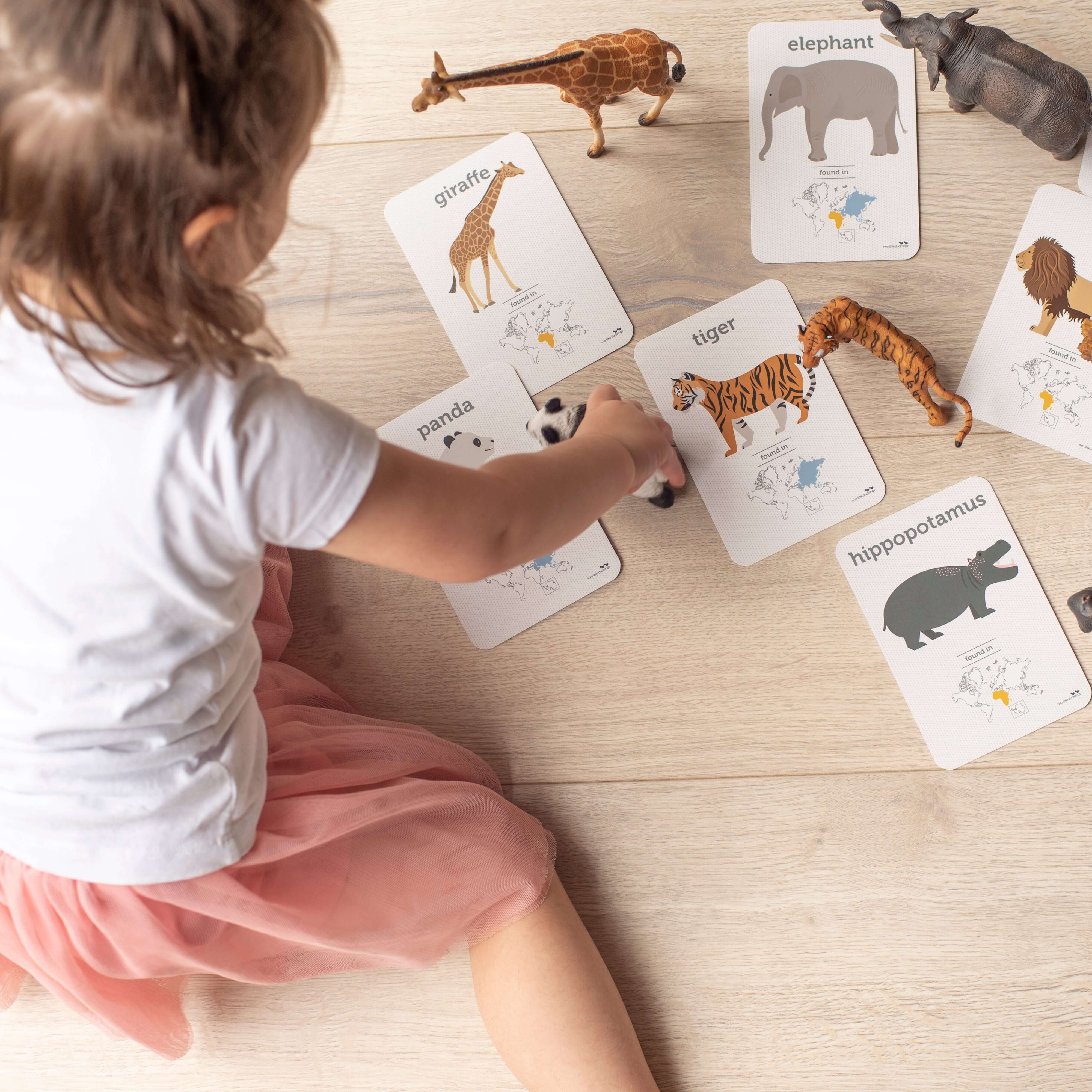 Flash Cards - World Animals – littlewhimsy