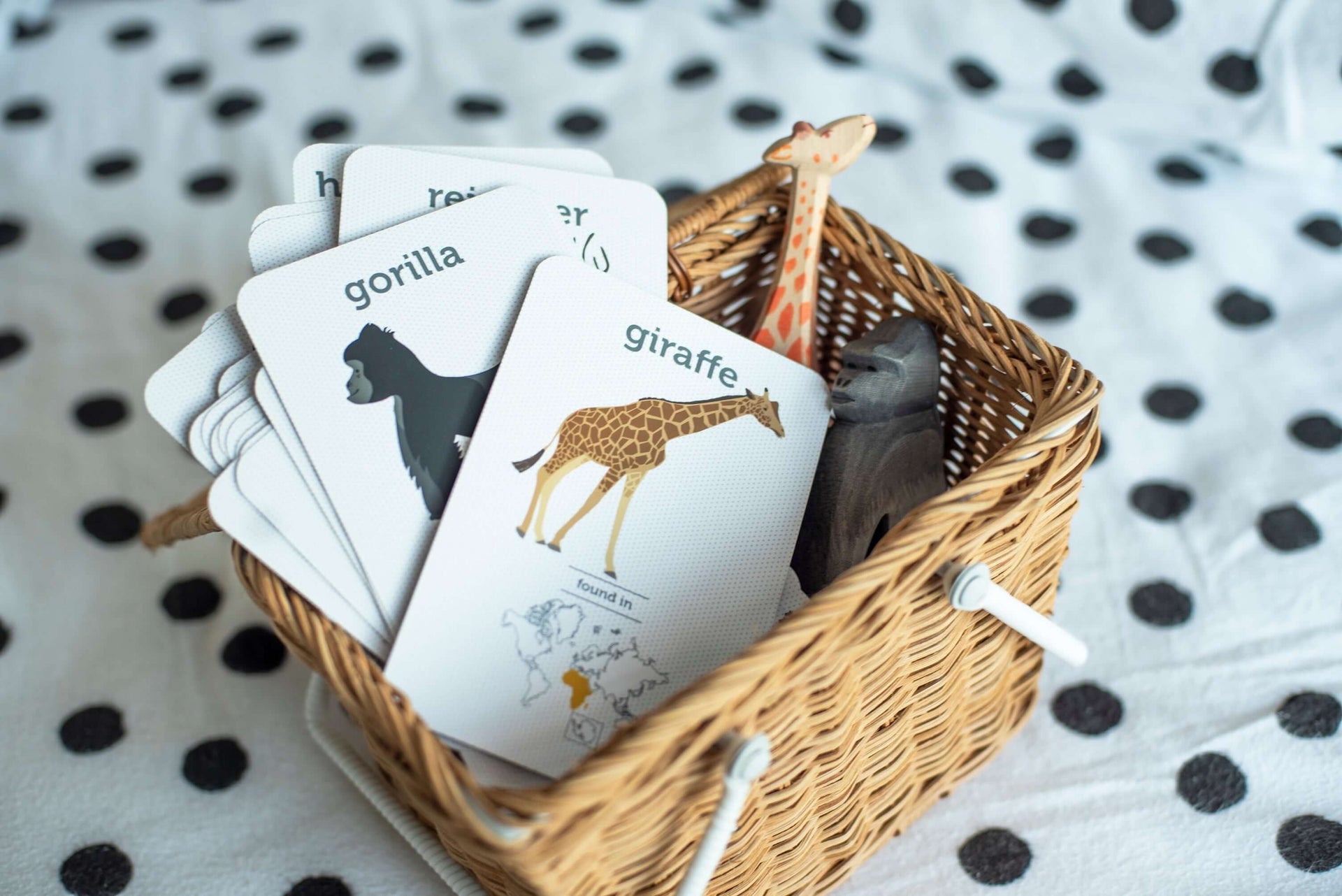 Flash Cards - World Animals – littlewhimsy